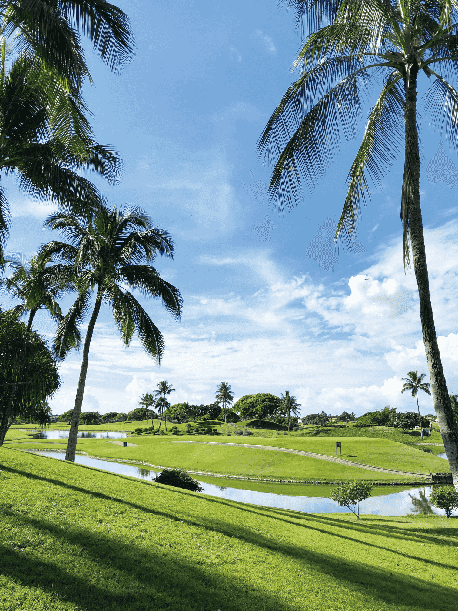 ココから始まる